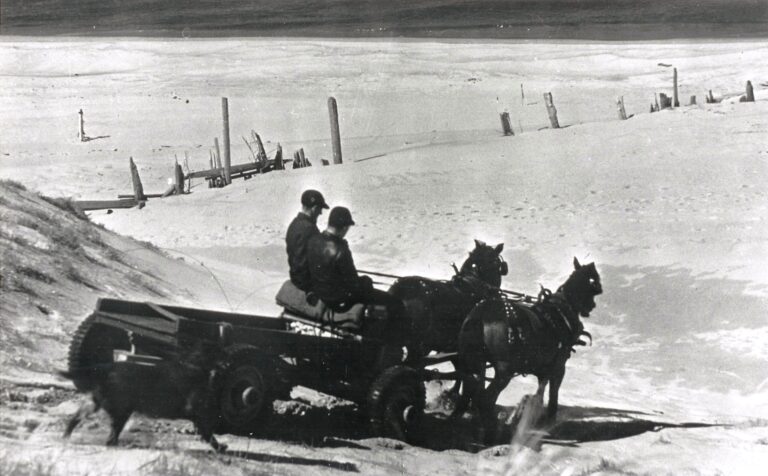 A Brief History of Sable Island - Friends of Sable Island